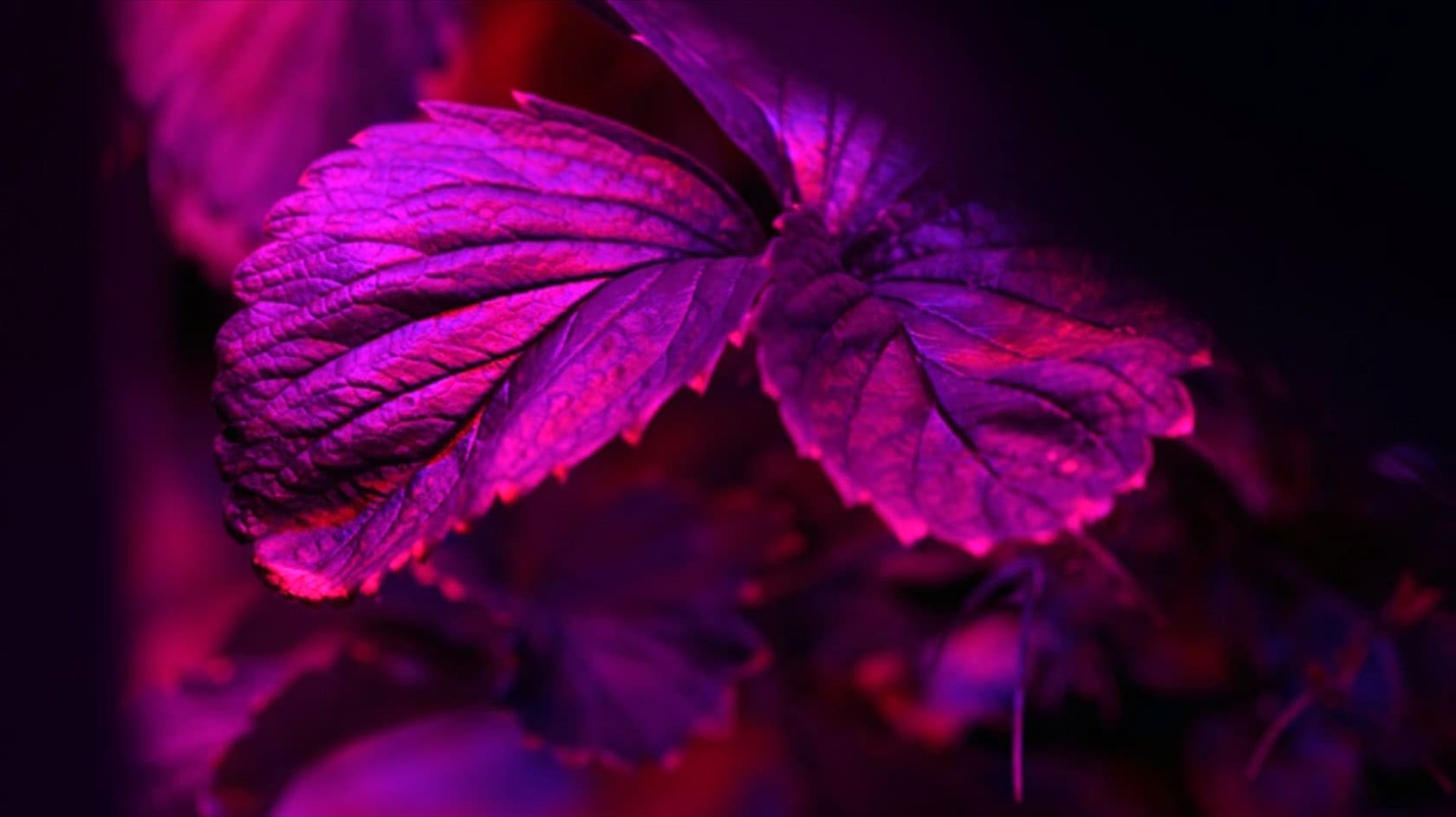 Stuart Hall Library Artist’s Residency 2018 - iniva