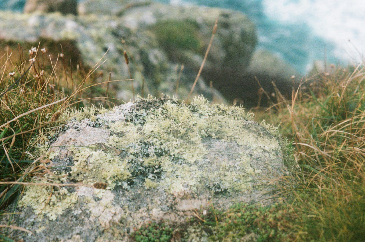 News from the North by Emii Alrai - iniva